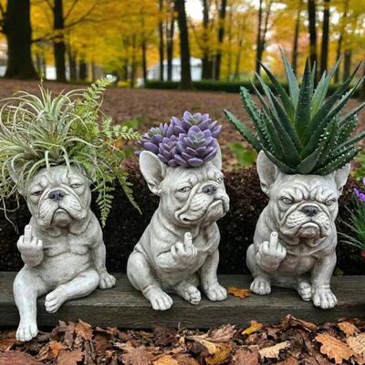跨境GrumpyFrenchBulld