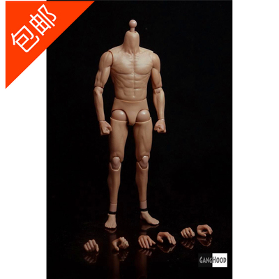 1/6 兵人素体 G002 李小龙素体 DX04 亚洲肌肉男素体 类似HT现货