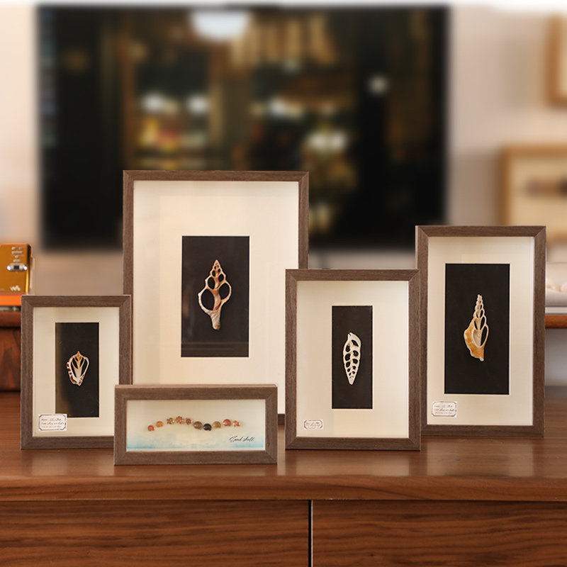 天然贝壳海螺标本挂画手工艺品摆件相框diy制作家居创意装饰制品