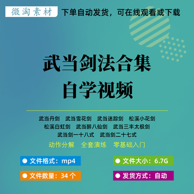 武当剑法剑术多套自学视频合集动作分解全套跟练零基础入门