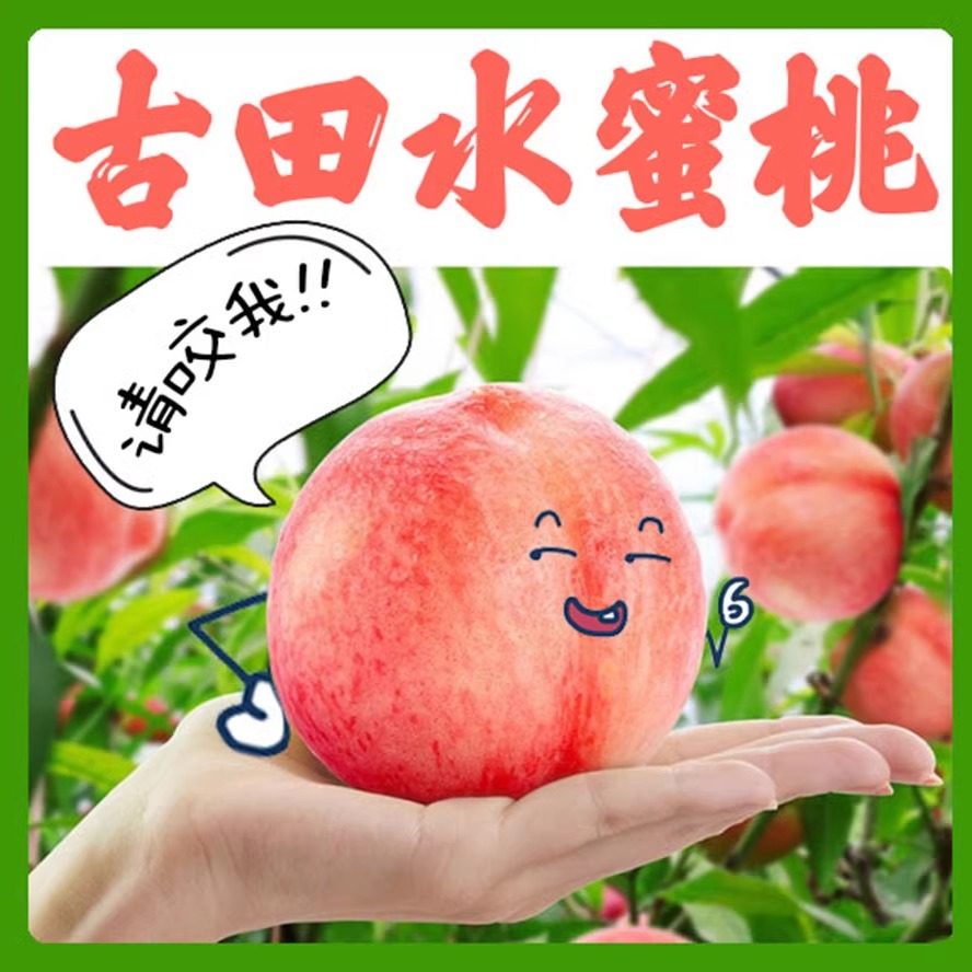 现摘福建古田白凤水蜜桃10斤特产新鲜甜脆桃大桃子现发礼盒装