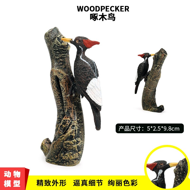 儿童动物玩具啄木鸟模型实心塑胶仿真飞禽鸟类套装男孩认知礼物
