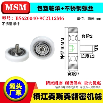 MSM包塑轴承BS620040-9C2L12M6