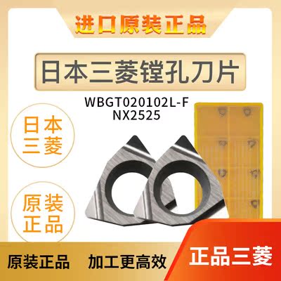 WBGT020102L-F-NX2525