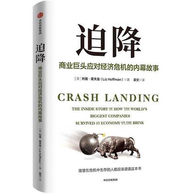 迫降:商业巨头应对经济危机的内幕故事:the inside story of how the world'iggest companies survived an利兹·霍夫曼  经济书籍