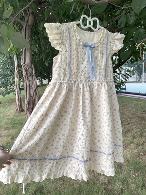 连衣裙纯欲风碎花芭蕾风公主裙女