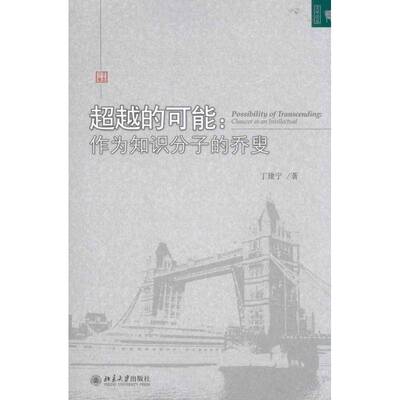 正版书籍 的可能:作为知识分子的乔叟:chaucer as an intellectual丁建宁北京大学出版社文学诗歌研究乔叟 人天书店畅销书排行榜