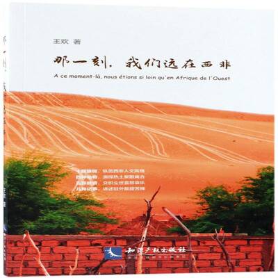 正版书籍 那一刻，我们远在西非王欢知识产权出版社文学 大众读者对驻外工作感兴趣和对西人天书店畅销书排行榜