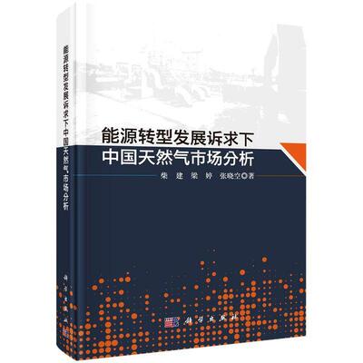 能源转型发展诉求下中国天然气市场分析 柴建   经济书籍