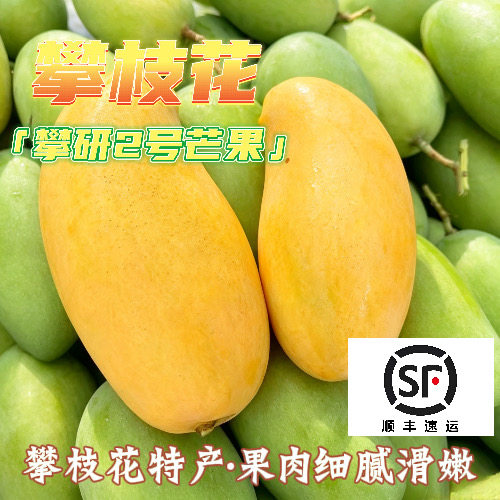 攀枝花攀研2号芒果