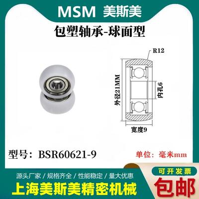 MSM外球面包塑轴承BSR60621-9