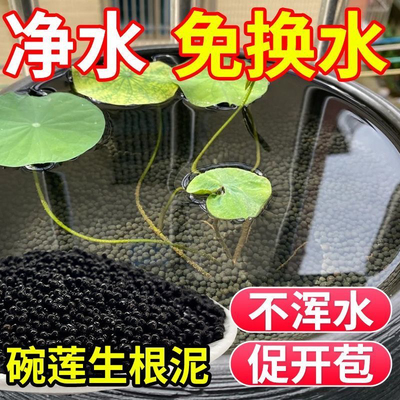 碗莲专用水草泥碗莲高肥力陶粒睡莲水培植物造景营养臭水浑水鱼缸