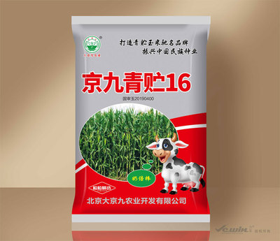 杂交玉米大京九高产稳产