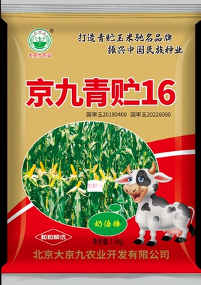 杂交玉米大京九高产稳产