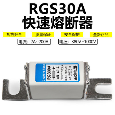 RGS30A 660V690V30A25A20A16A15A12A10A6A5A2A快速熔断器