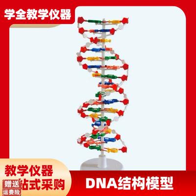 DNA双螺旋结构模型组件J33306高D中学生用生物实验器材dna教学仪