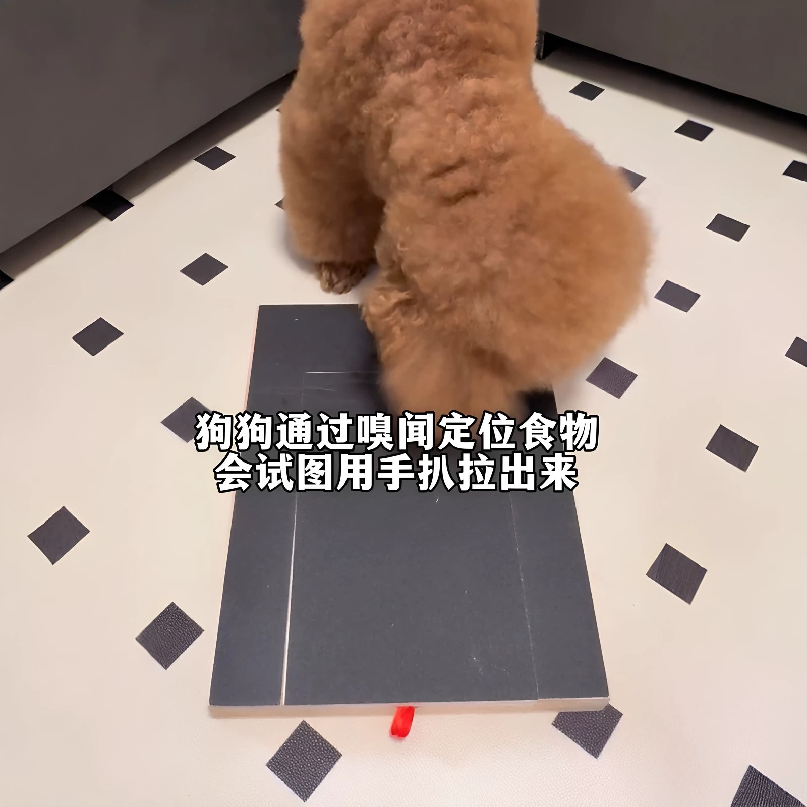 木质磨甲狗抓板带狗粮盒沙发防抓狗狗嗅闻玩具砂纸锉板防宠物刨地