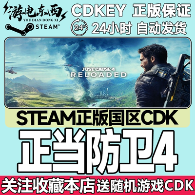 steam正版正当防卫4国区key秒发