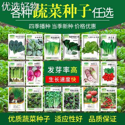 Farmhouse vegetable garden, vegetable seeds, seasonal seeds