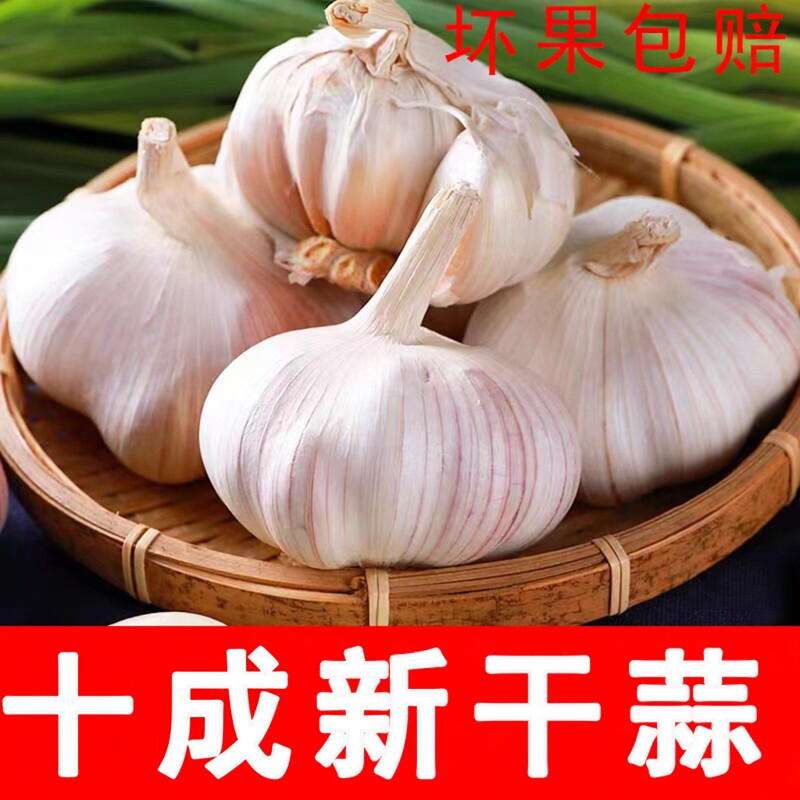 大蒜头新鲜干蒜5斤紫皮大蒜农家山东金乡多瓣干蒜包邮非独头蒜