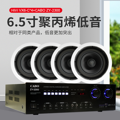 惠威定阻同轴高保真吸顶喇叭套装