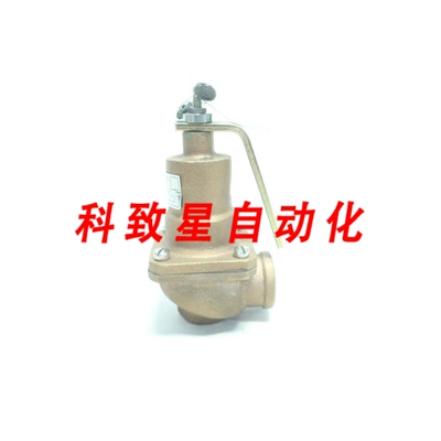 工业配件KUNKLE 0537-D01-HM0100 2756221BTU 100PSI 3/4IN NPT