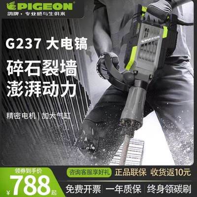 鸽牌G207电锤大电锤重型大功率鸽牌电镐228电镐鸽牌217电锤包邮