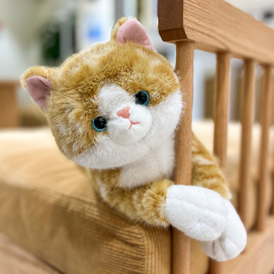 可爱仿真猫咪花猫狸猫公仔玩偶