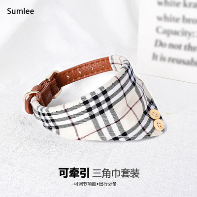 高级宠物用品外出狗狗牵引绳项圈