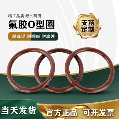 氟橡胶耐高温耐腐蚀密封圈