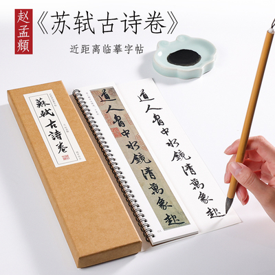 元 赵孟俯 行书 《苏轼古诗卷》行书字帖赵孟頫毛笔临摹书法近距离对临字帖 纸中作乐