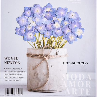 小尺寸重瓣绣球唯美风杯垫干花