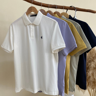 男士新款翻领短袖polo衫百搭多色团建团购工装保罗彼得TCFBP00051
