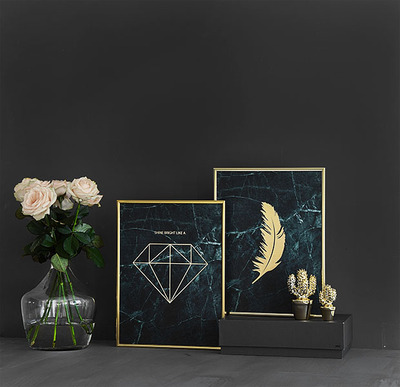 进口瑞典钻石金色羽毛海报装饰画