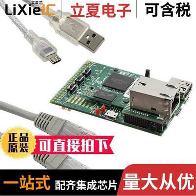 DM320008开发板 〔PIC32MZ GRAPHICS EVAL BRD 〕