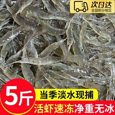 10盒新鲜当日捕捞急冻淡水小河虾