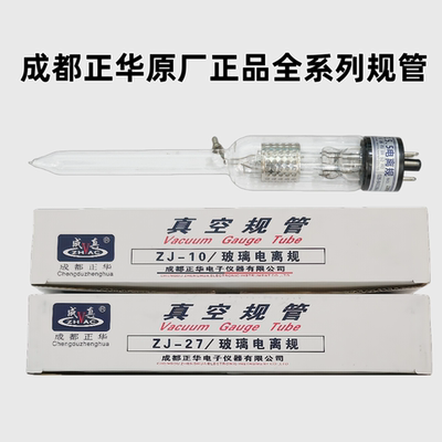 成都正华规管 电阻规 电离规zj10 zj27 zj52 zj54 冷规正品规管