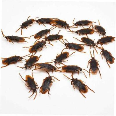 April Fools Day pranks, gifts, tricky props, fake cockroach