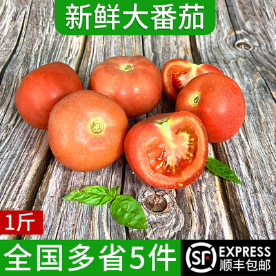 新鲜大番茄500g农家蔬菜