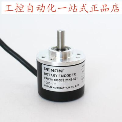 PENONPRIV40/1000ES.21KB-S01/2000AR.11RB-1.5M/2000ES.11IB