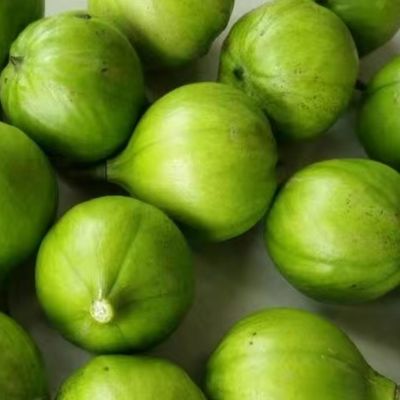 桐子果非食用农产品自然生长油桐果桐树果子庞果干桐果子粑粑叶