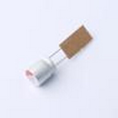 RNS1E101MDN1PH 固态电容 100uF ±20% 25V 插件,D10xL14mm