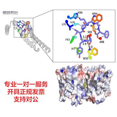 分子对接方法：autodock薛定谔 moe 金属离子.供价，柔性分子对接