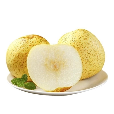 安徽特产现摘砀山酥梨新鲜梨子水果梨正宗雪梨