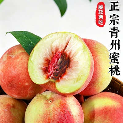 山东青州蜜桃新鲜水蜜桃冬桃冬雪蜜桃脆甜小毛桃秋桃应季孕妇水果