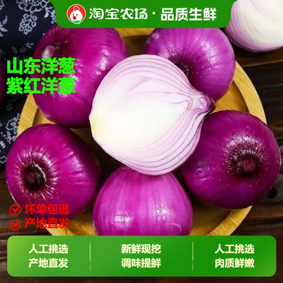 山东农家水果小洋葱9斤装甜味生吃5紫皮圆葱头蔬菜新鲜自种保存