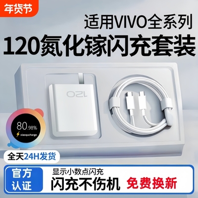 适用vivo120w手机充电器