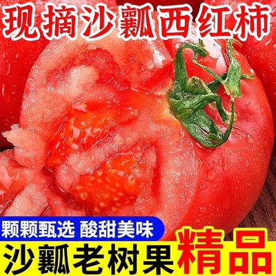 正宗自然熟沙西红柿5斤