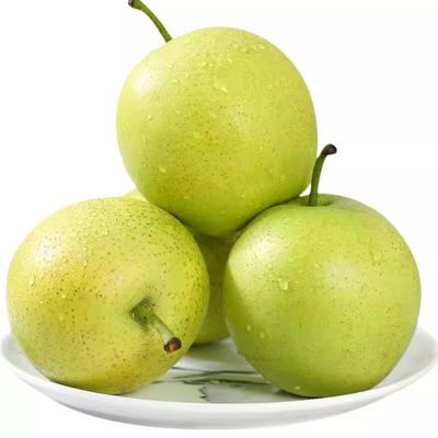 头茬新鲜发货皇冠梨当季新鲜水果梨子砀山产地直发酥蜜梨