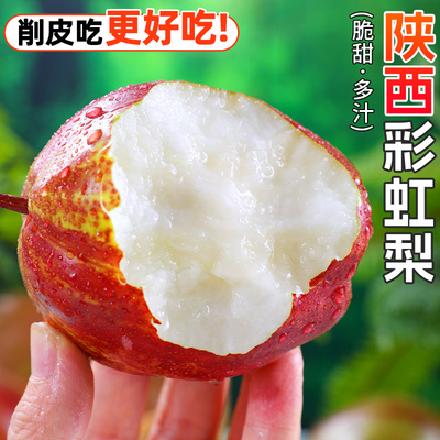 陕西新鲜彩虹梨水果当季梨子包邮